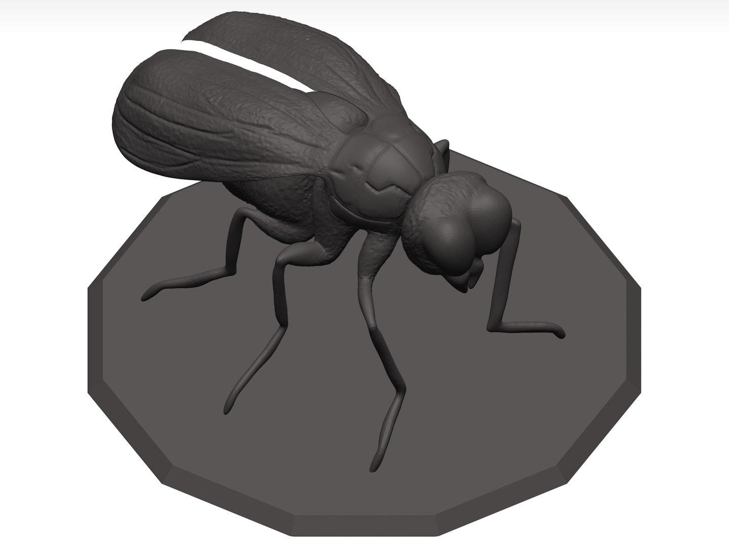 3D Fly Stl - TurboSquid 1774181