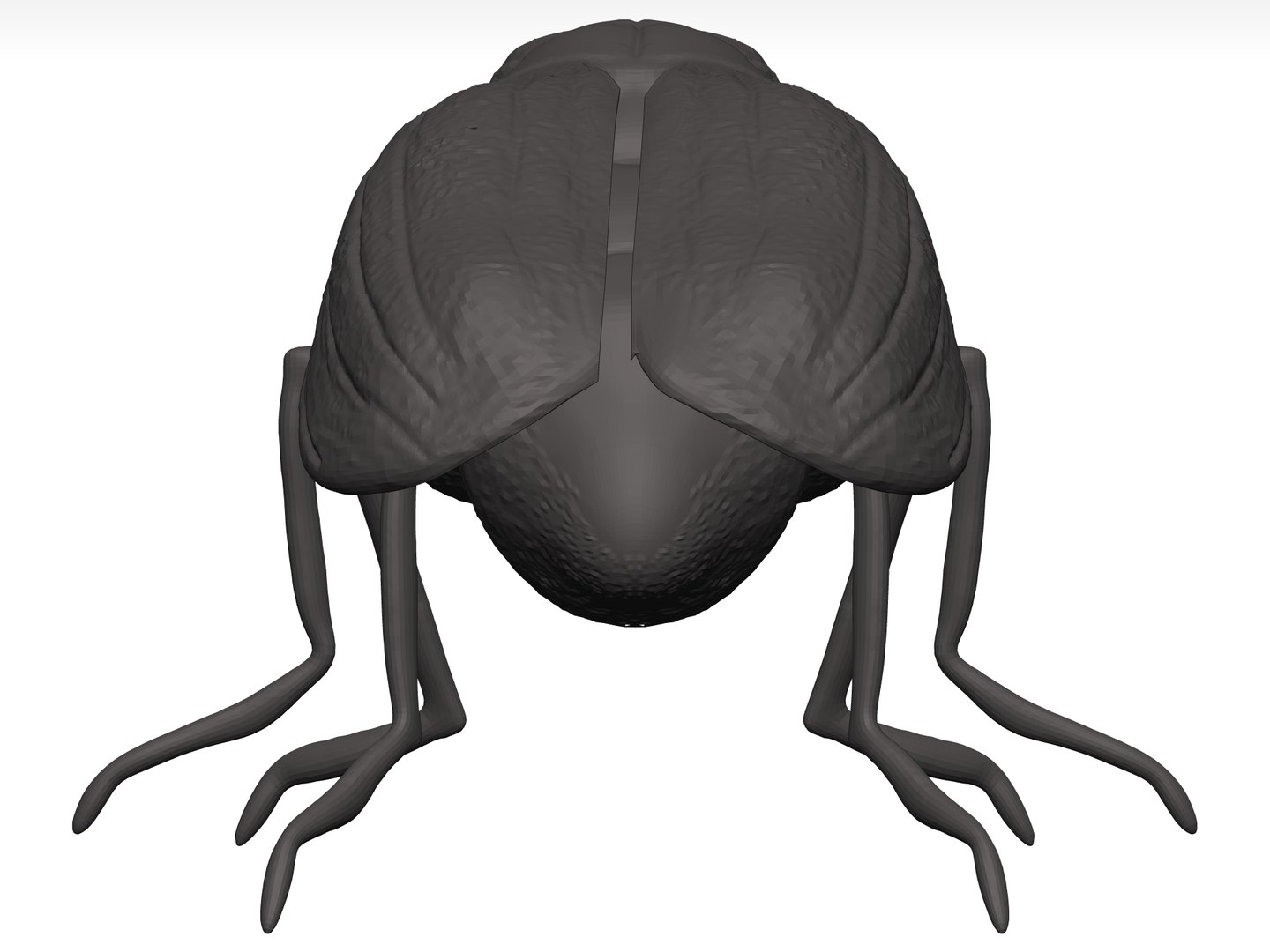3D Fly Stl - TurboSquid 1774181