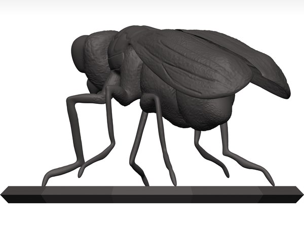 3D Fly Stl - TurboSquid 1774181