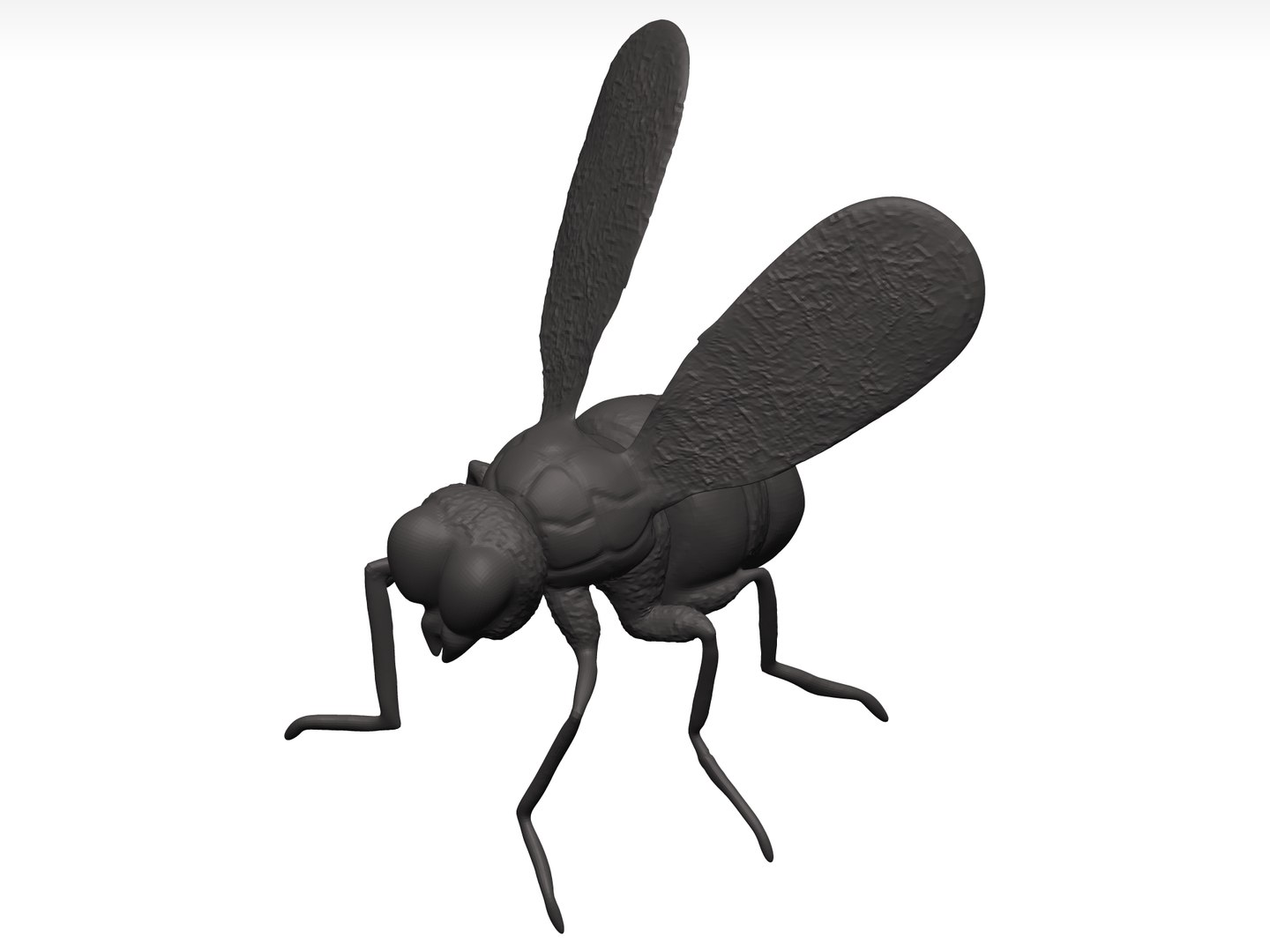 3D Fly Stl - TurboSquid 1774181