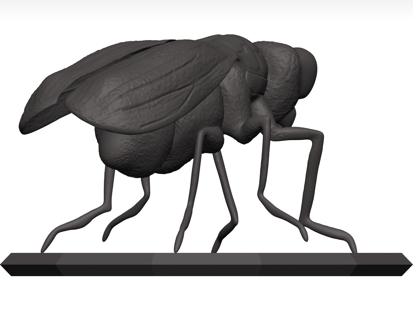 3D Fly Stl - TurboSquid 1774181