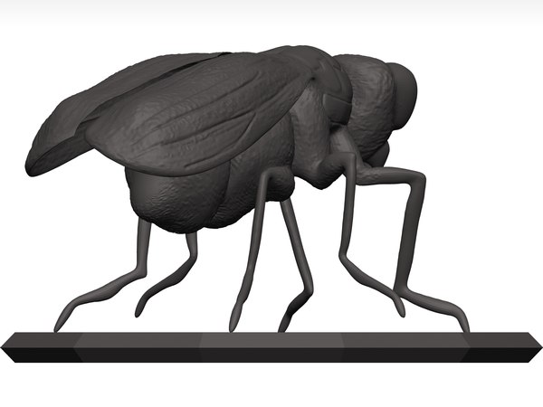 3D Fly Stl - TurboSquid 1774181