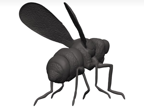 3D Fly Stl - TurboSquid 1774181