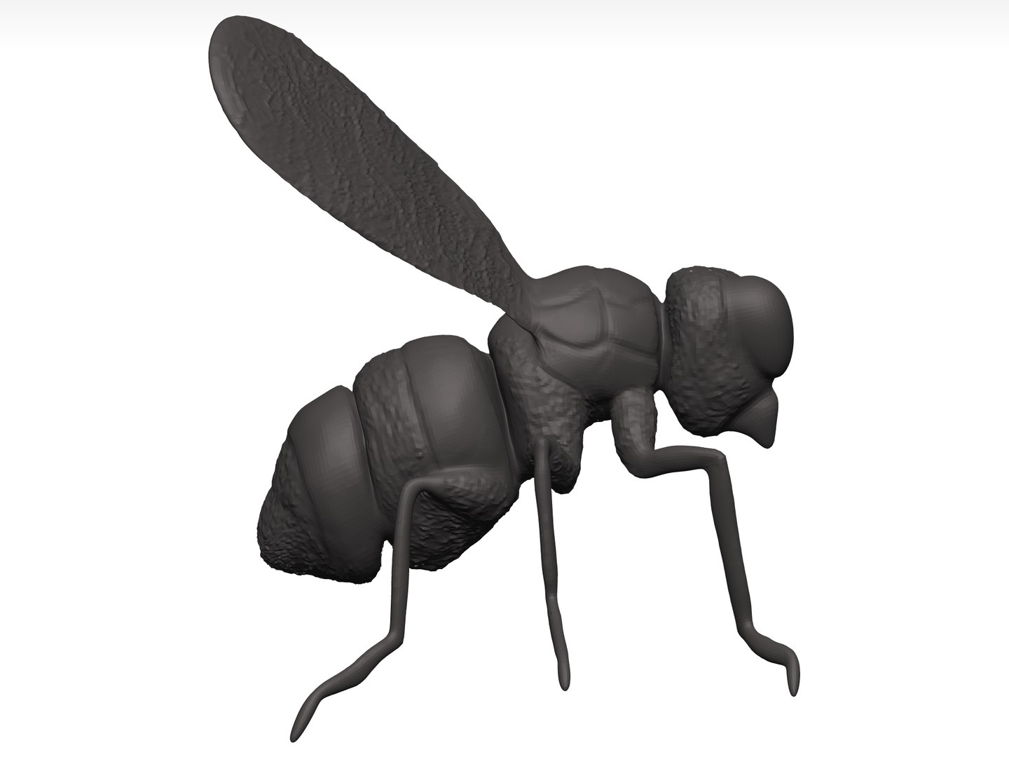 3D Fly Stl - TurboSquid 1774181