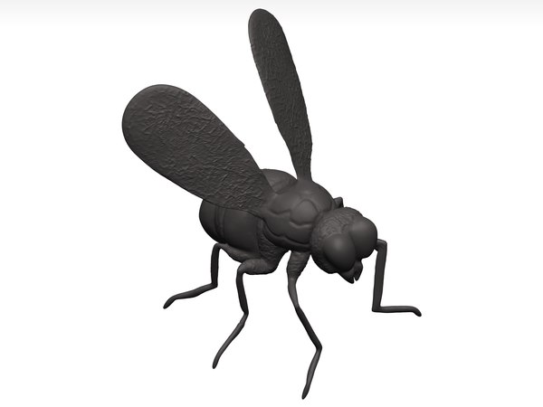 3D Fly Stl - TurboSquid 1774181