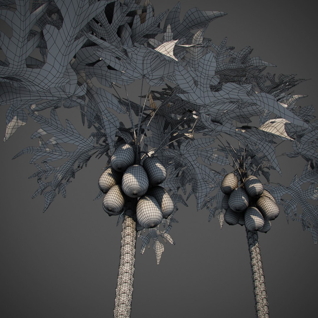 Plant Papaya Animation 3D - TurboSquid 1243585