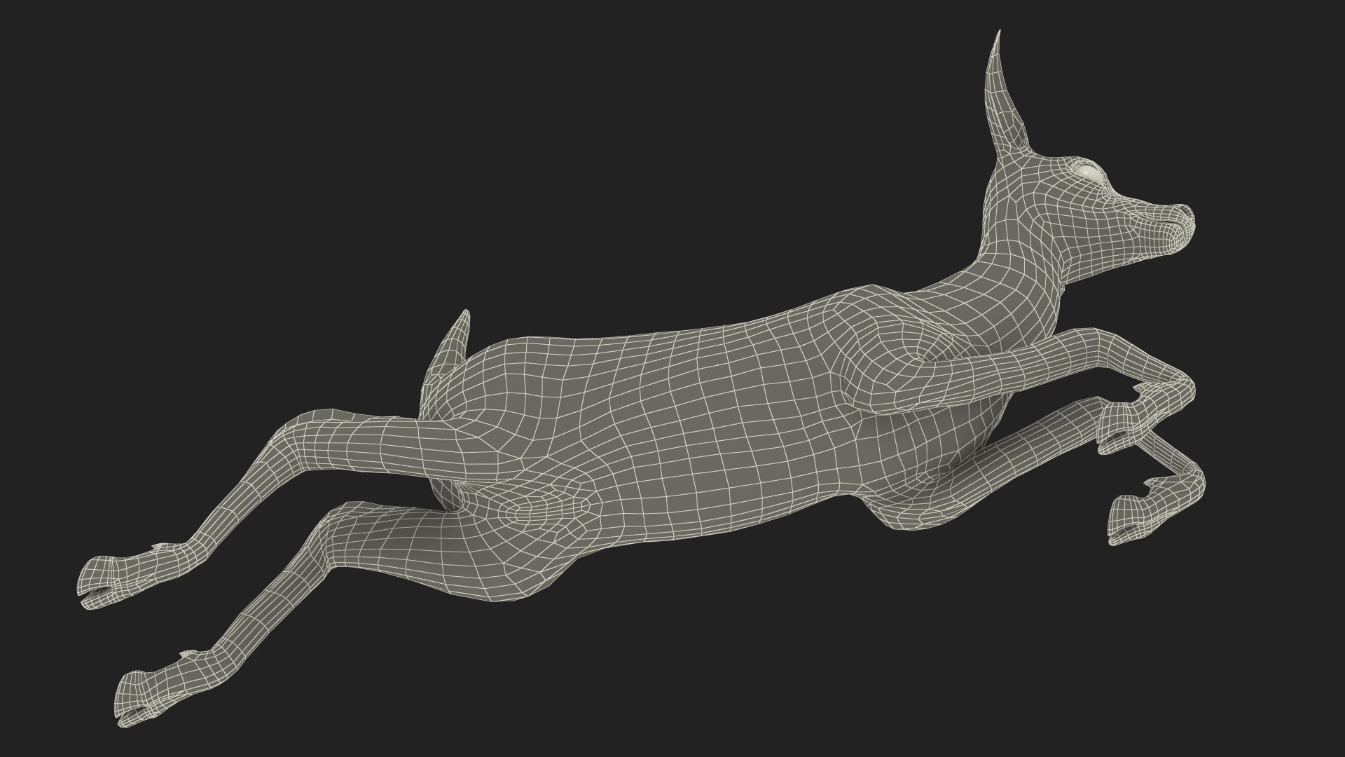3D Leaping White-Tailed Fawn Deer Fur For Maya Model - TurboSquid 2418990