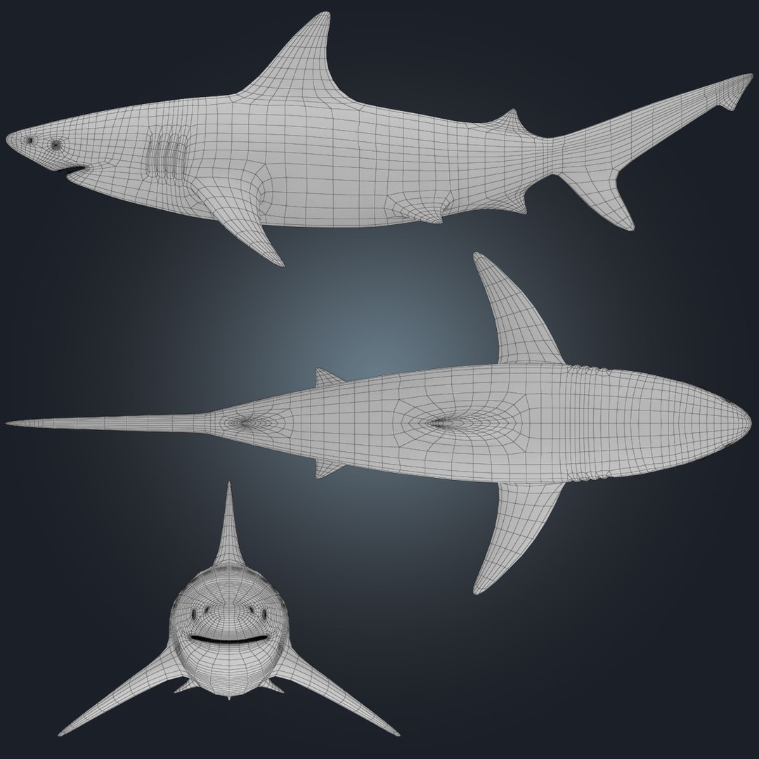3D Aquatic Animals - TurboSquid 1399429