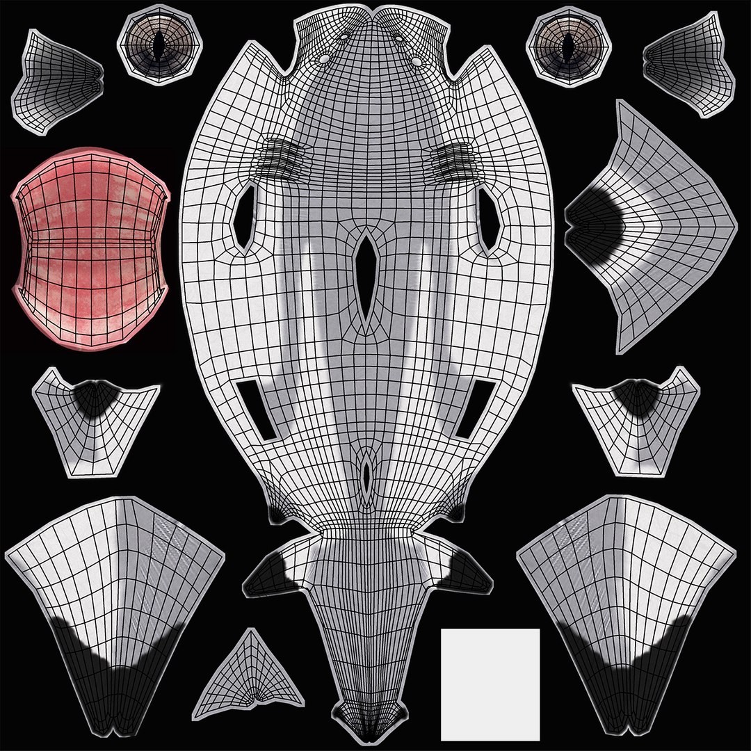 3D Aquatic Animals - TurboSquid 1399429