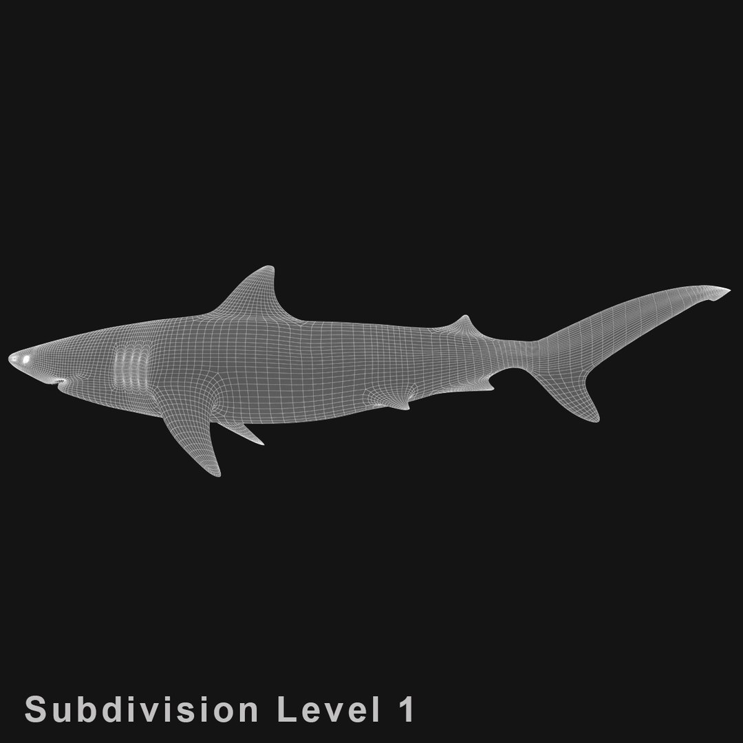 3D Aquatic Animals - TurboSquid 1399429