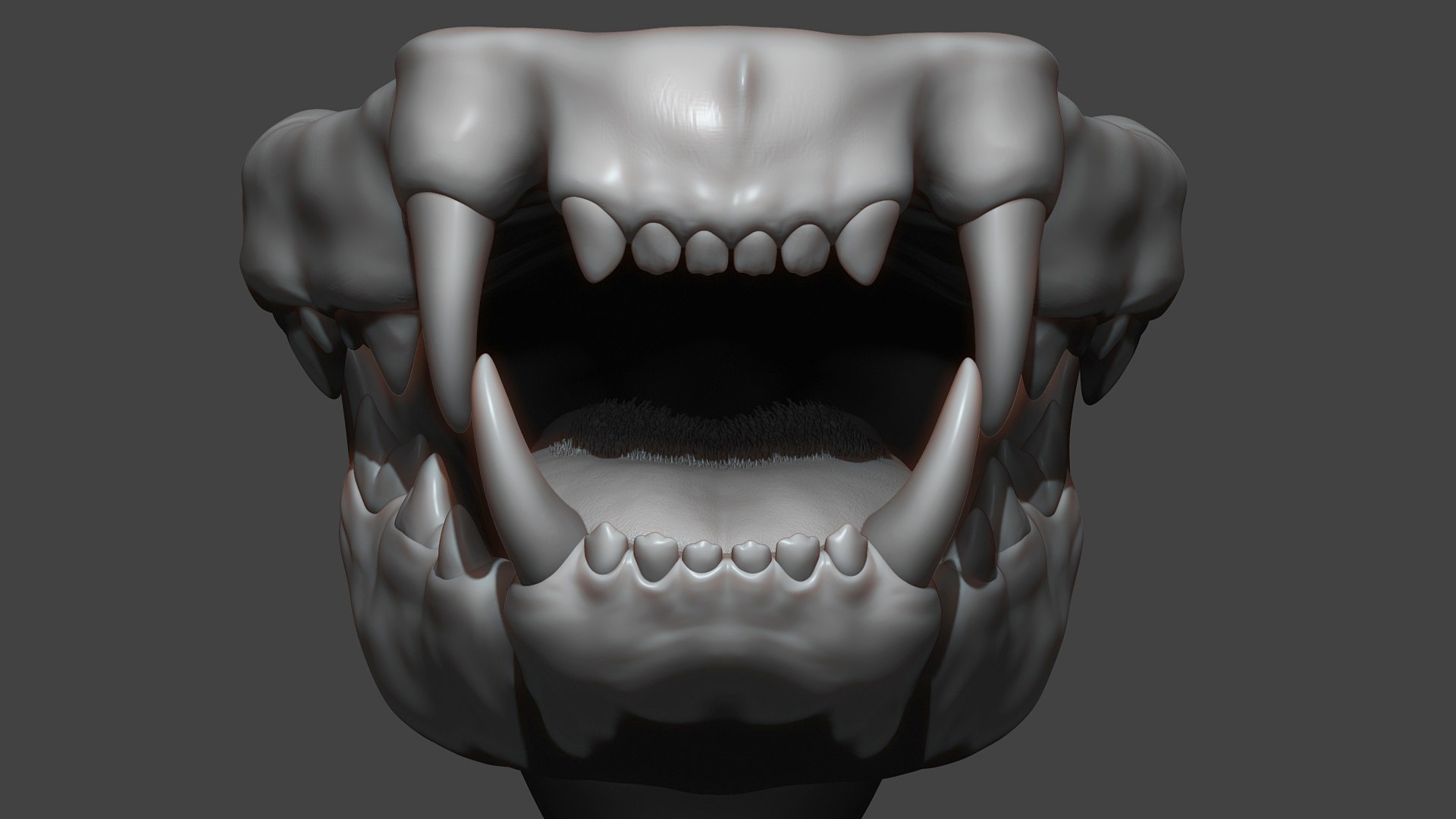 3D Cat Mouth ZBrush Sculpt Model - TurboSquid 1770269