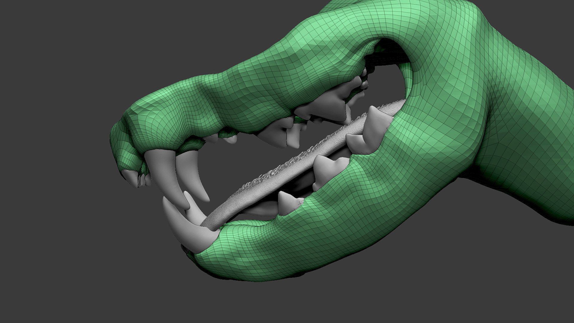 3D Cat Mouth ZBrush Sculpt Model - TurboSquid 1770269