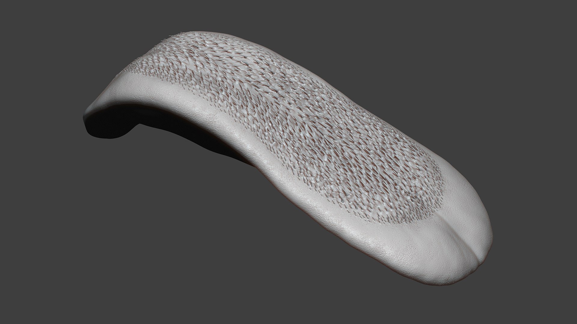 3D Cat Mouth ZBrush Sculpt Model - TurboSquid 1770269