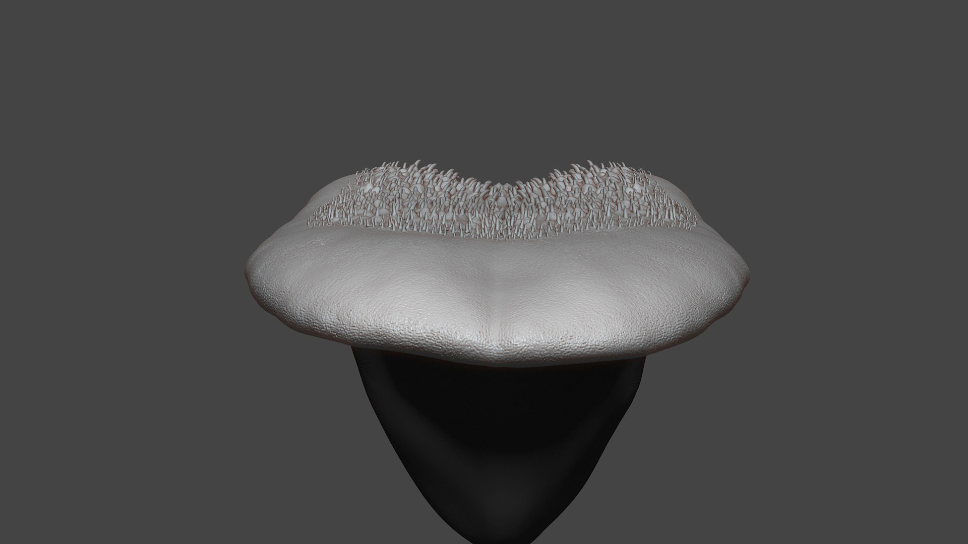 3D Cat Mouth ZBrush Sculpt Model - TurboSquid 1770269