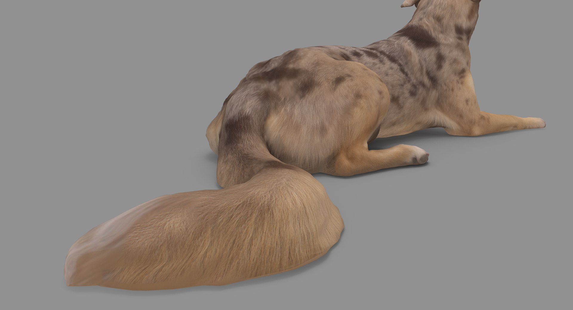 3D dog metis model - TurboSquid 1303684