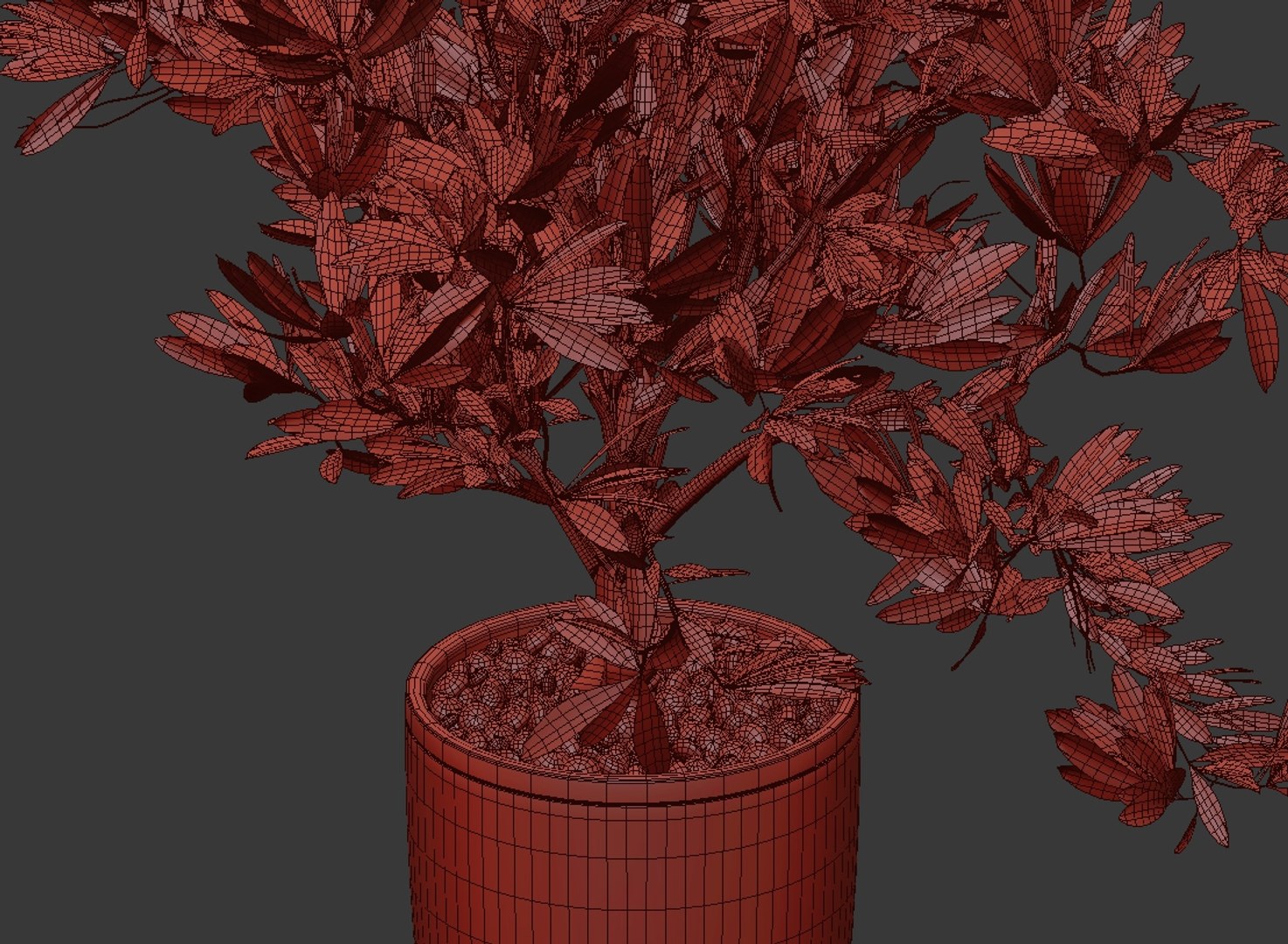 Flower pack 123 3D model - TurboSquid 1638866