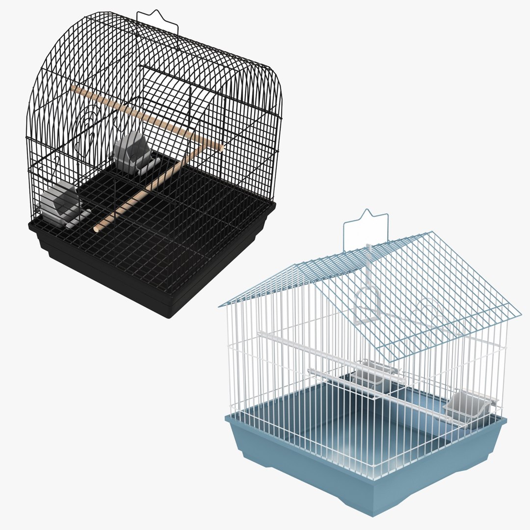 Bird Cage Collection Model - TurboSquid 2281431