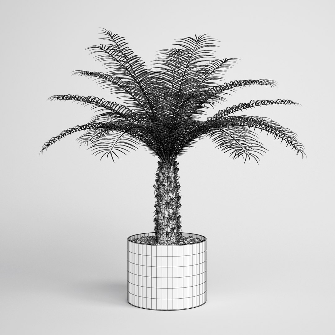 3d Model Plant