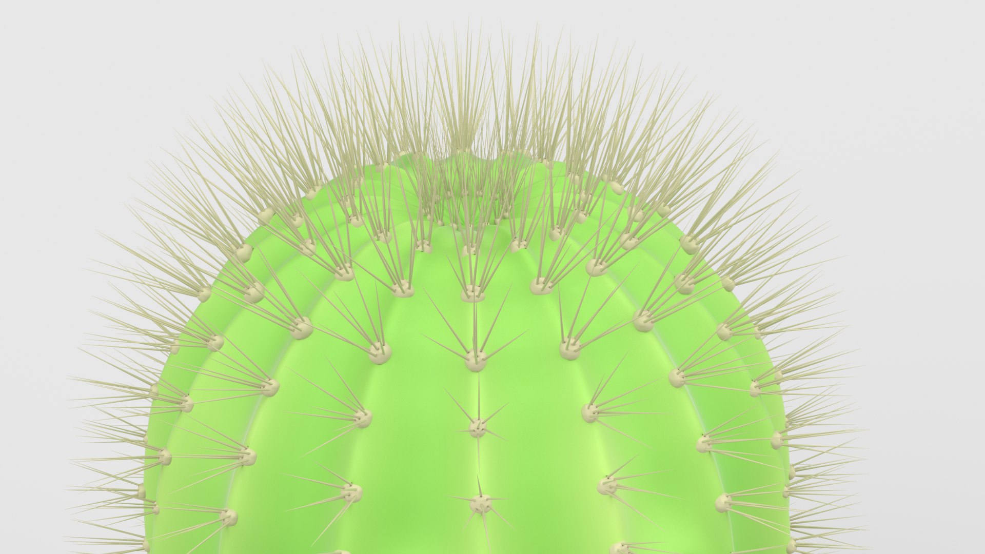 3D Model Toy Cactus - TurboSquid 1591479
