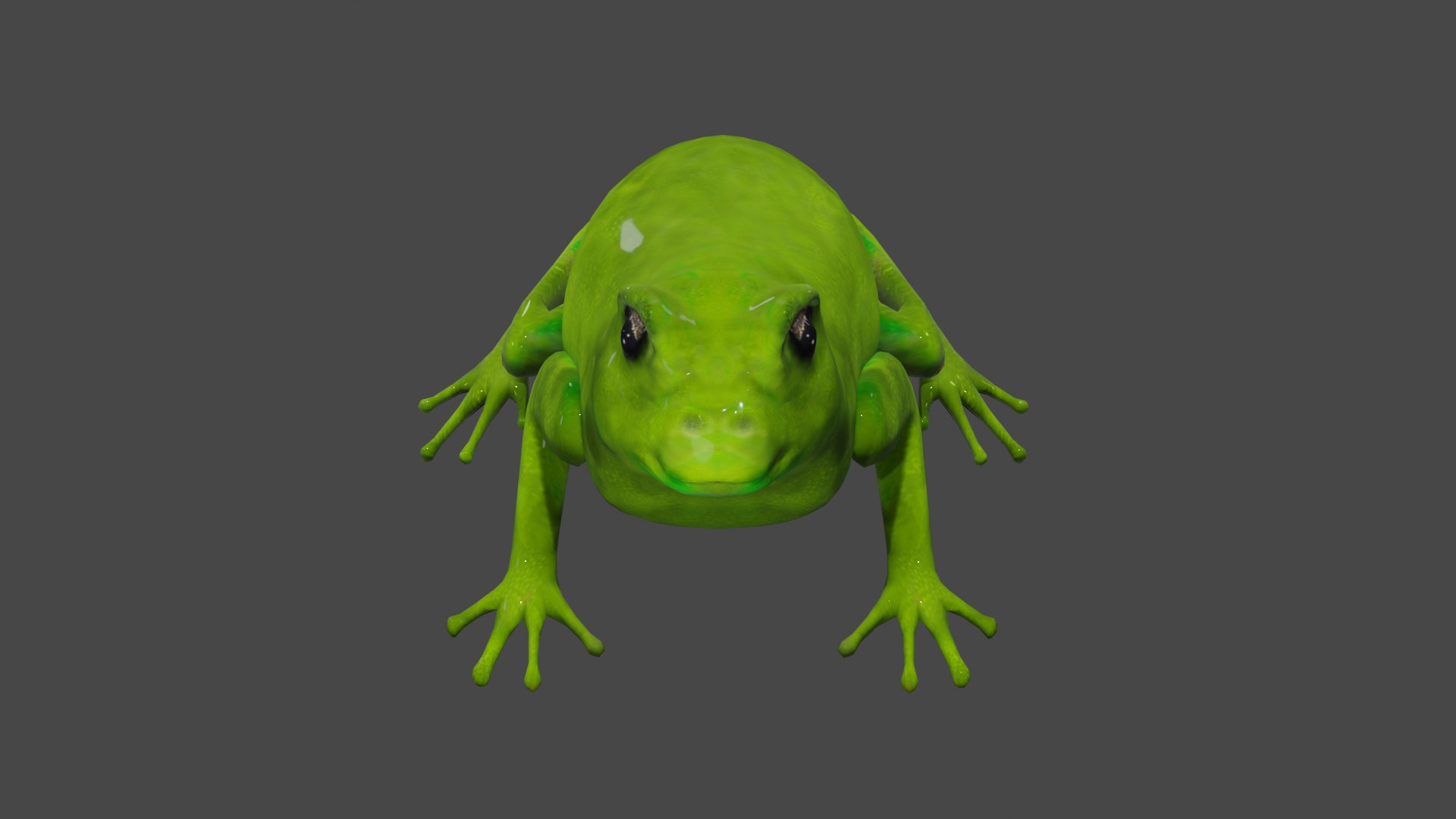 3D Frog Animations Model - TurboSquid 1442983