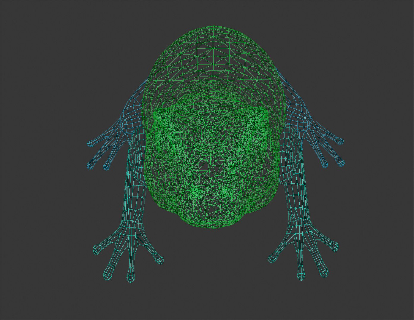 3D Frog Animations Model - TurboSquid 1442983
