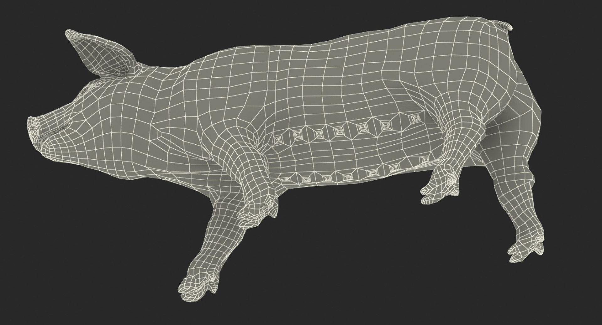 Hampshire Pig Piglet Walking 3D - TurboSquid 1355710