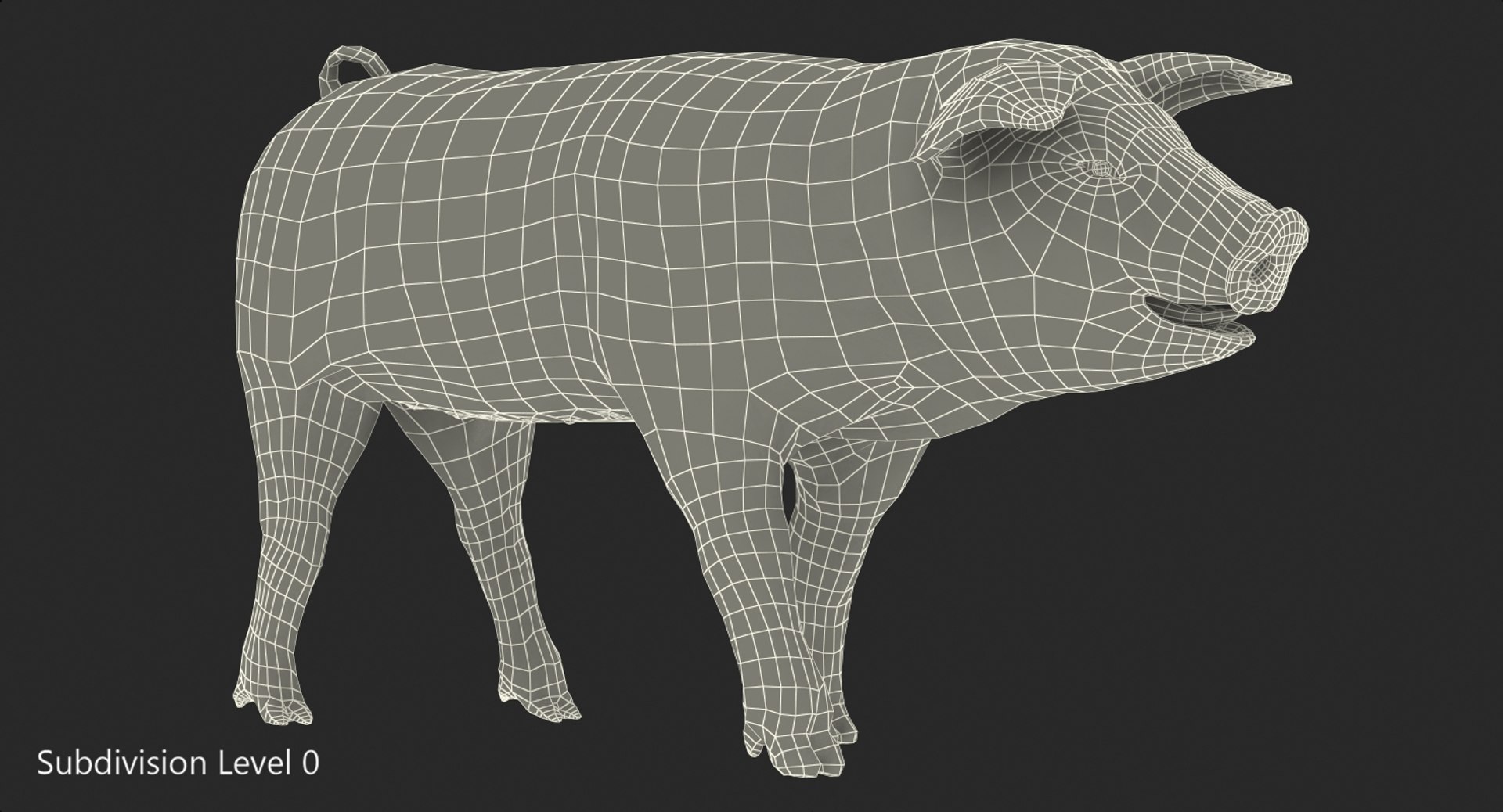 Hampshire Pig Piglet Walking 3D - TurboSquid 1355710