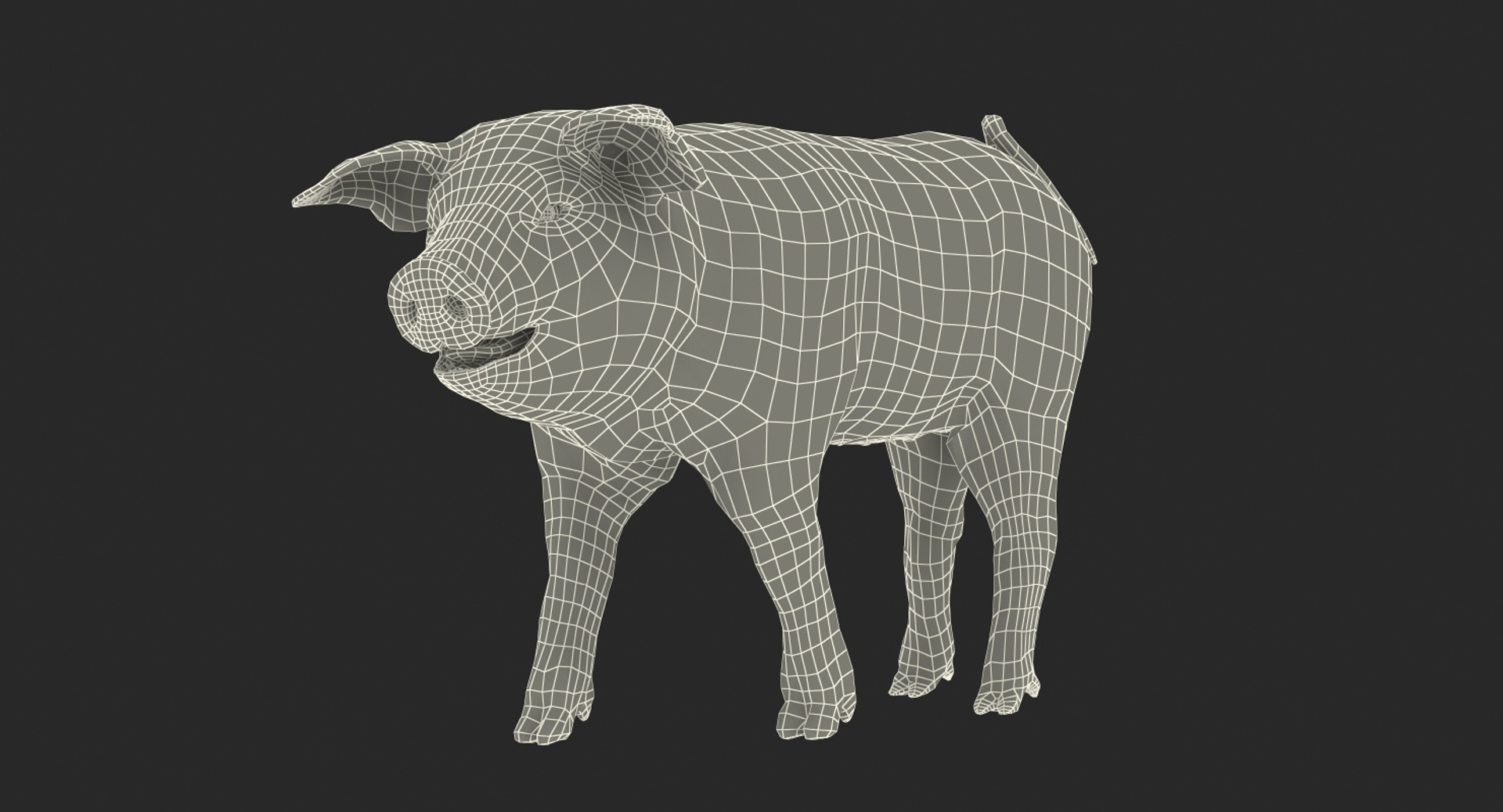 Hampshire Pig Piglet Walking 3D - TurboSquid 1355710
