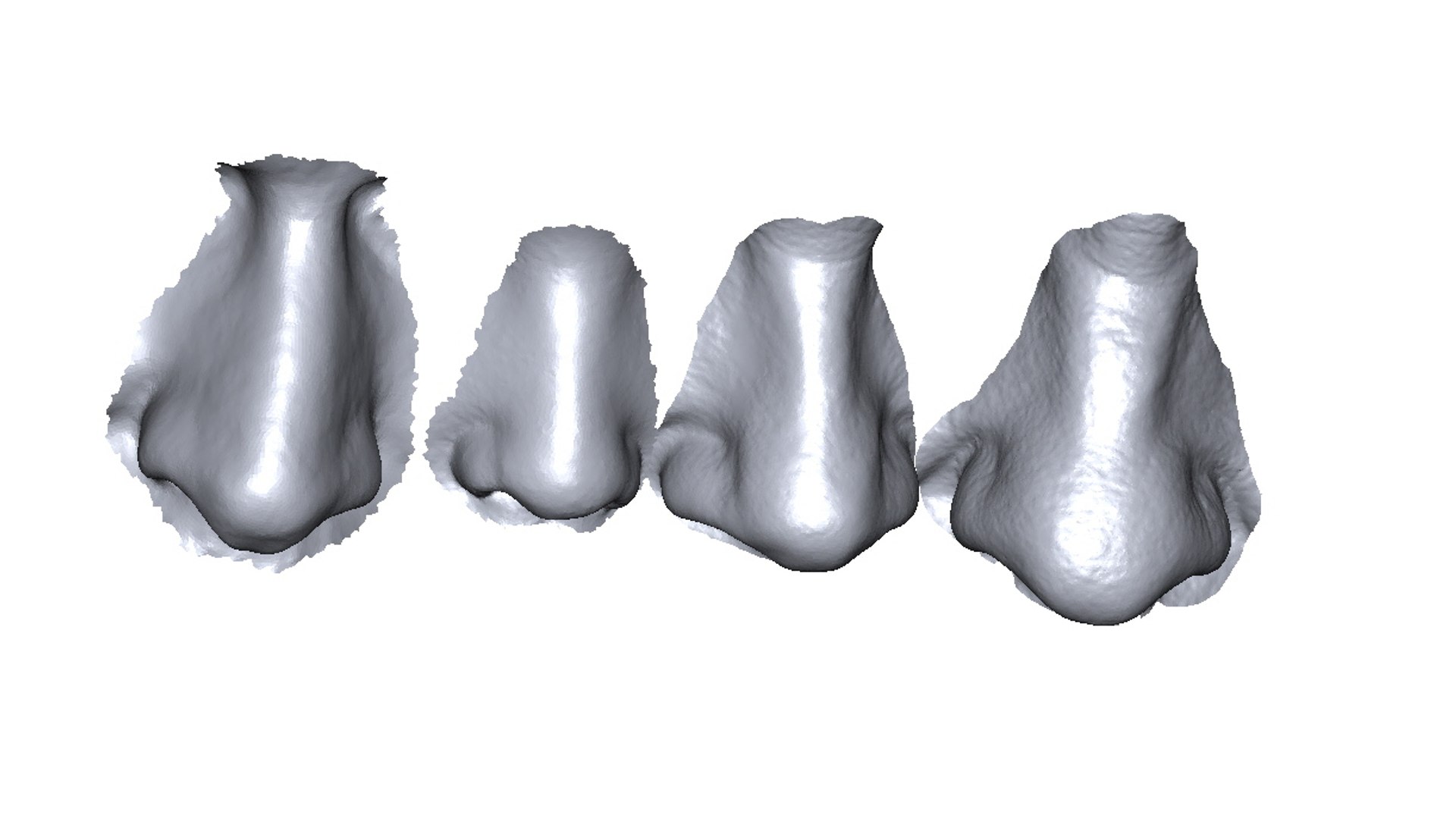 Scans noses 3D model - TurboSquid 1445761