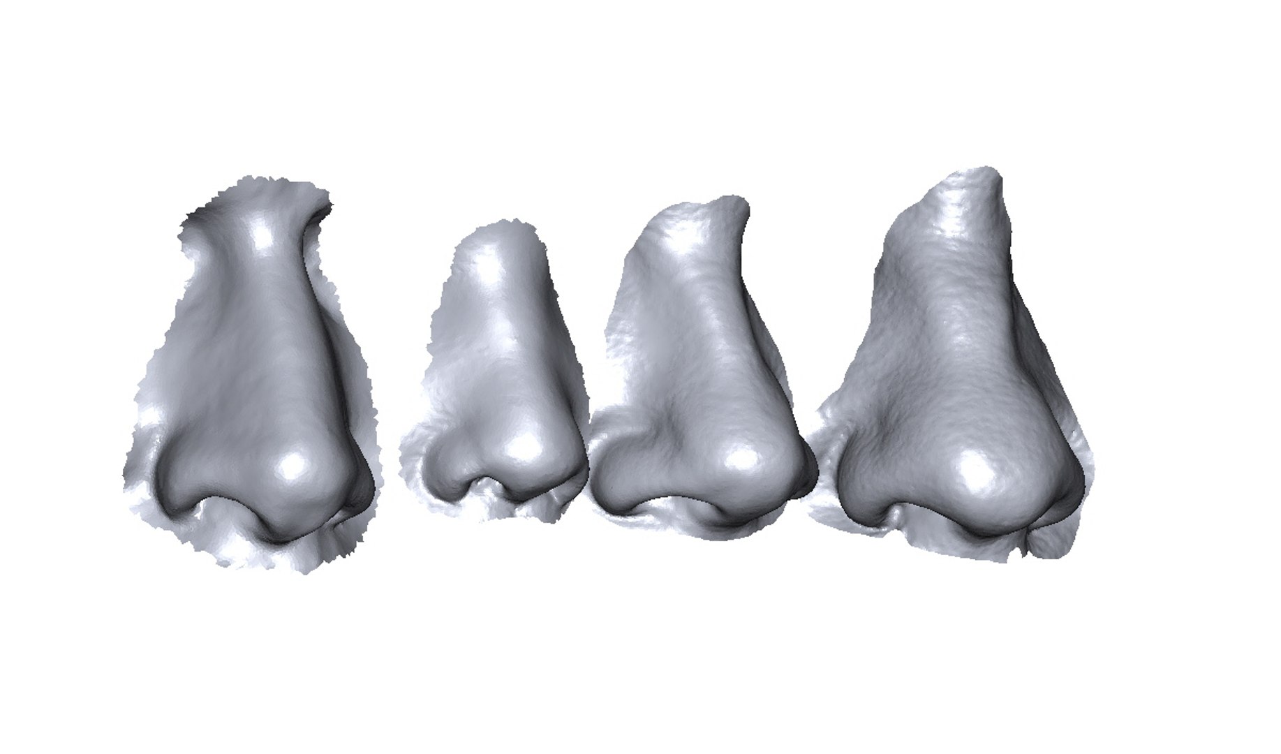 Scans noses 3D model - TurboSquid 1445761