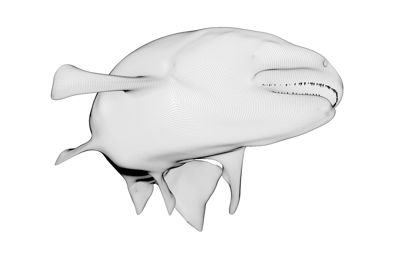 3D Model TROUT L1444 - TurboSquid 2066981