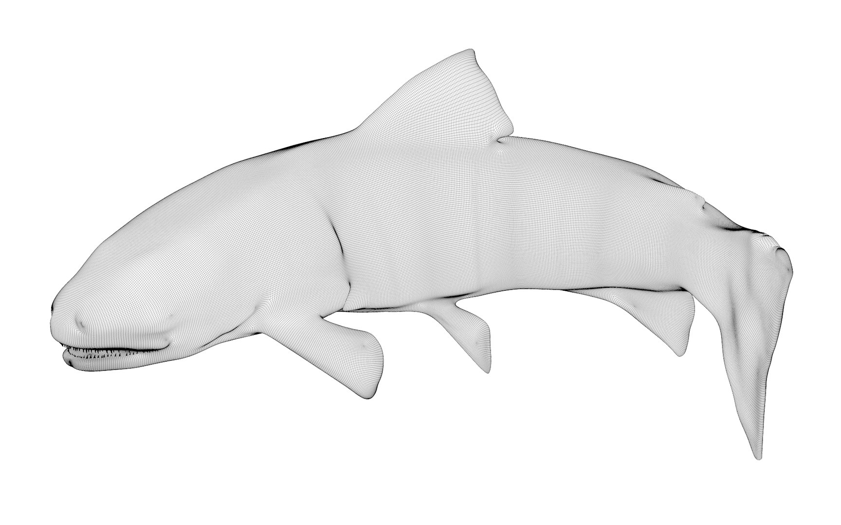 3D Model TROUT L1444 - TurboSquid 2066981