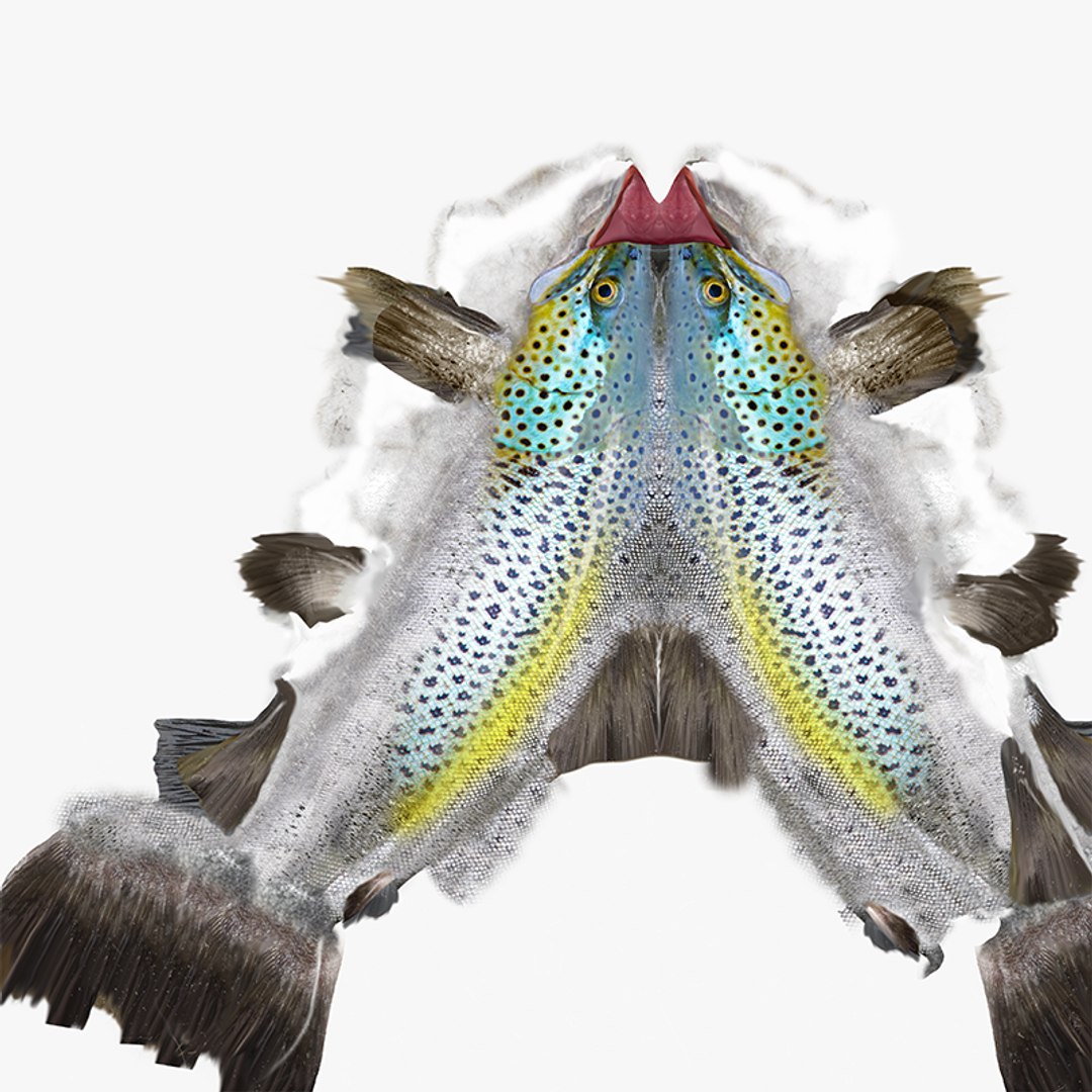 3D Model TROUT L1444 - TurboSquid 2066981