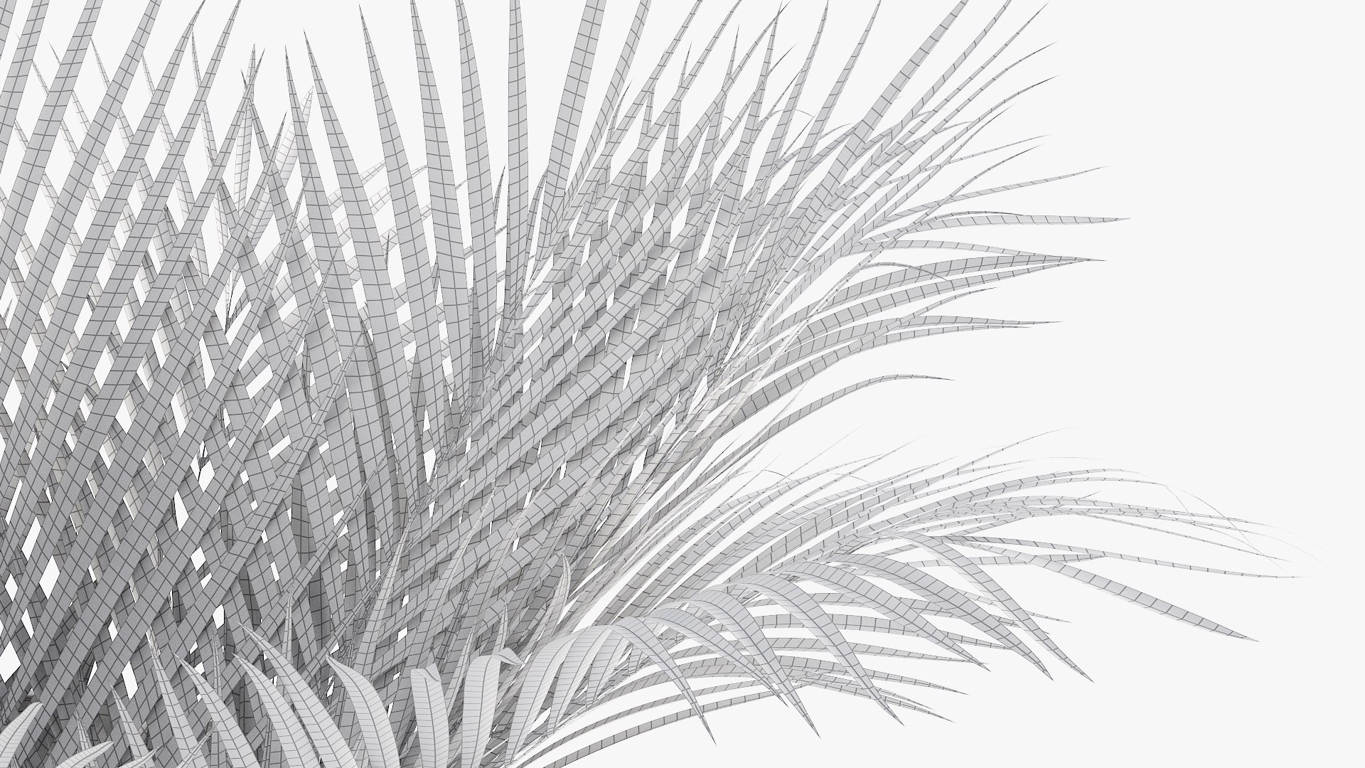 3D Model Palm Leaves - TurboSquid 1538561