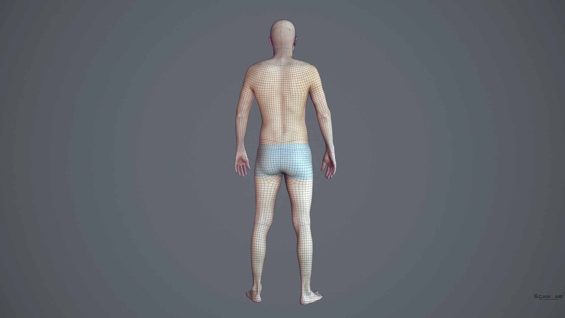 Male Body Scan - X