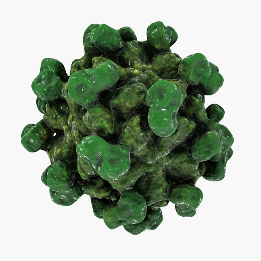 Hepatitis E Virus 3d Model
