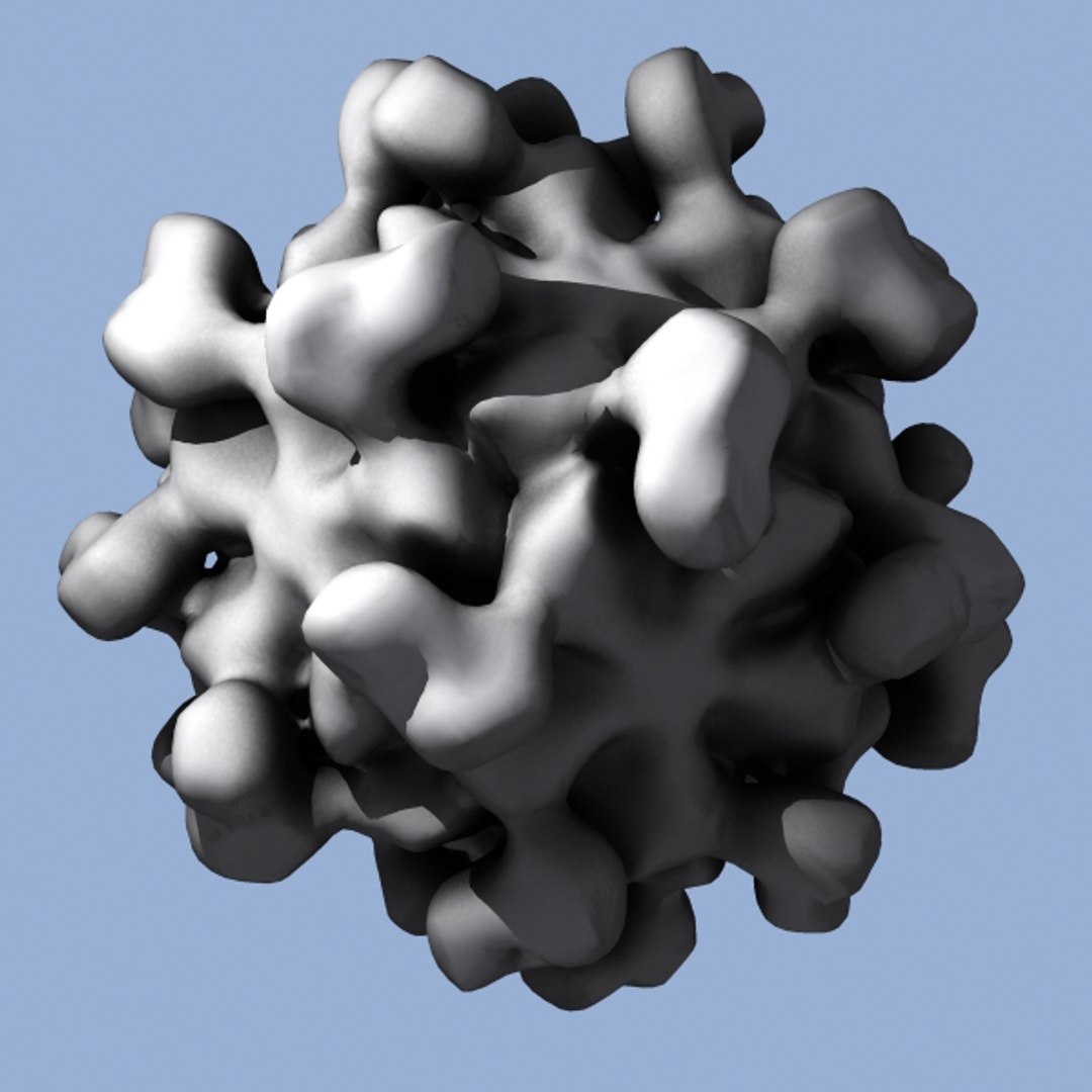 Hepatitis E Virus 3d Model