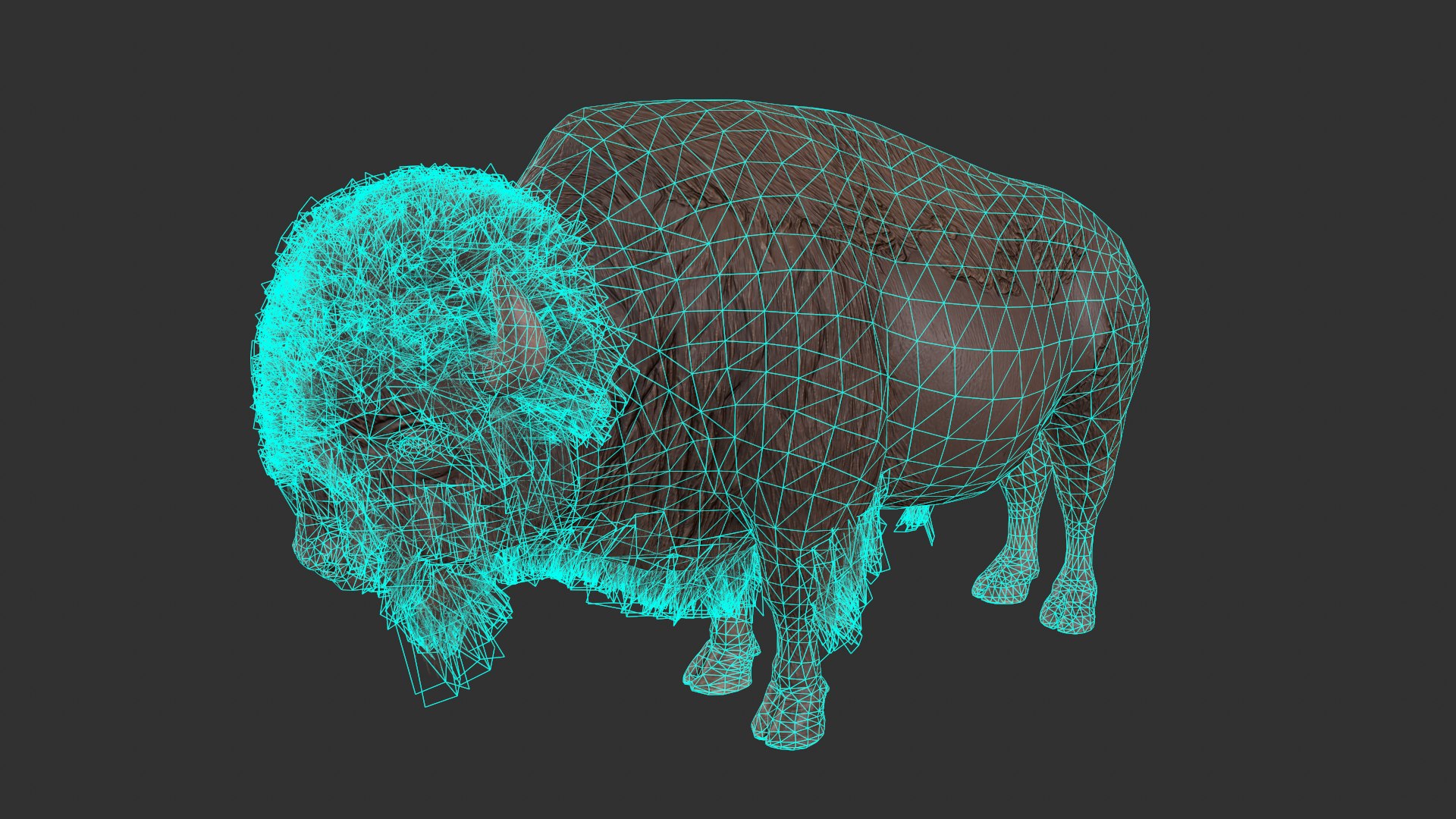 Bison 3D Model - TurboSquid 1966889
