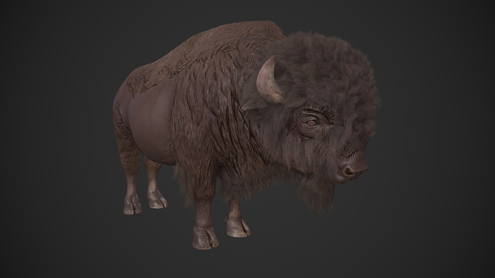 Bison 3D Model - TurboSquid 1966889