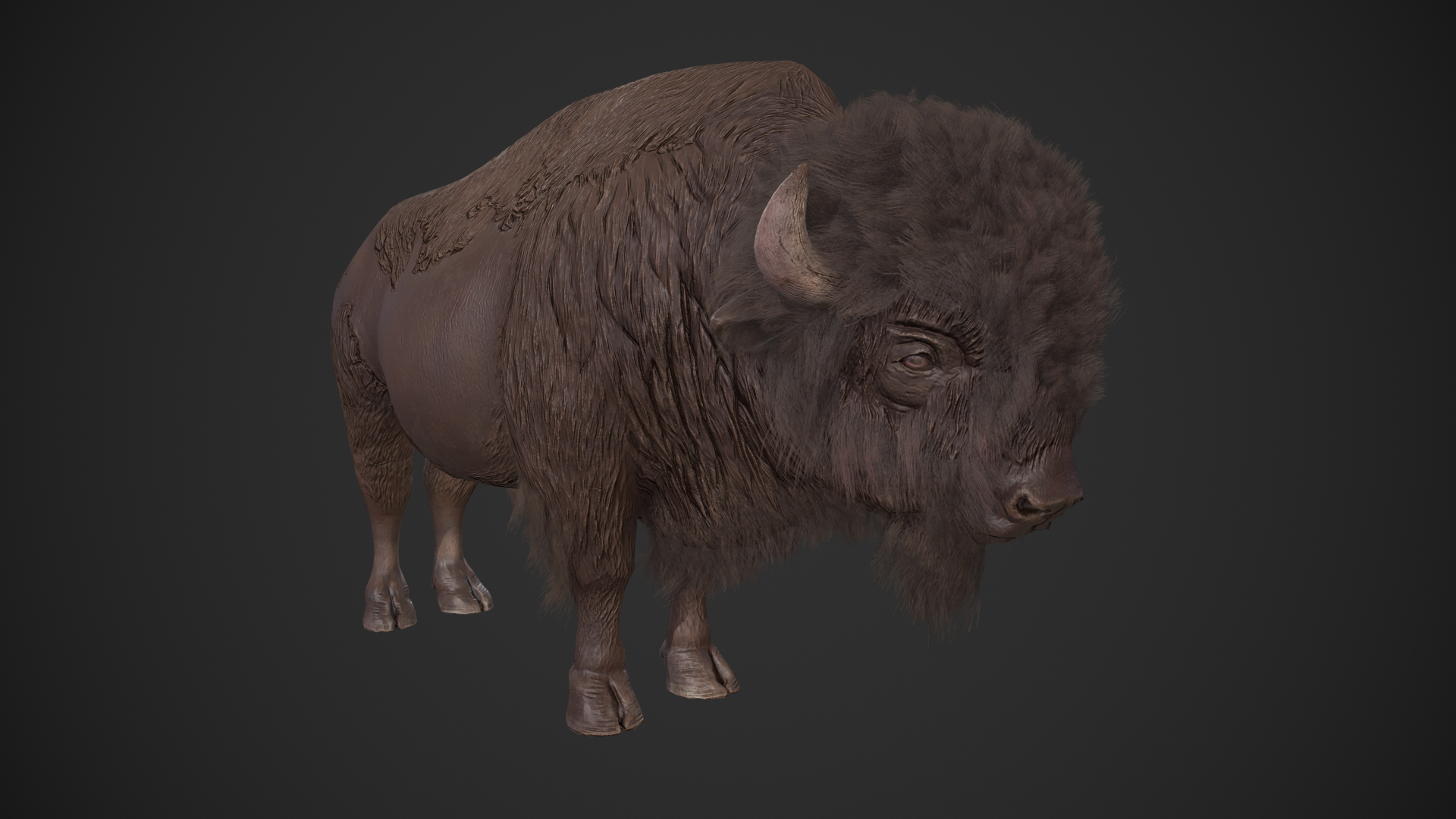 Bison 3D model - TurboSquid 1966889