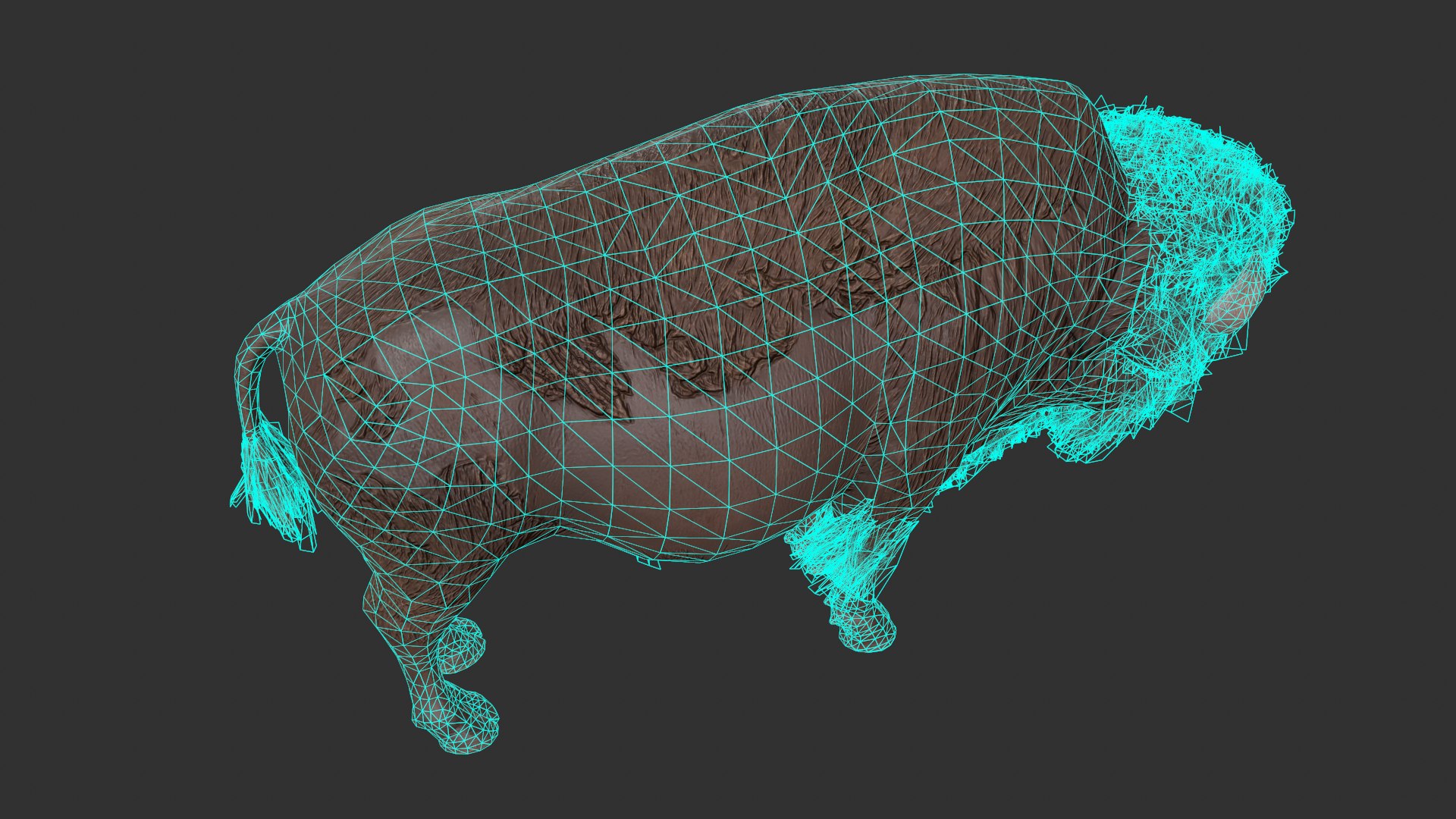 Bison 3D Model - TurboSquid 1966889