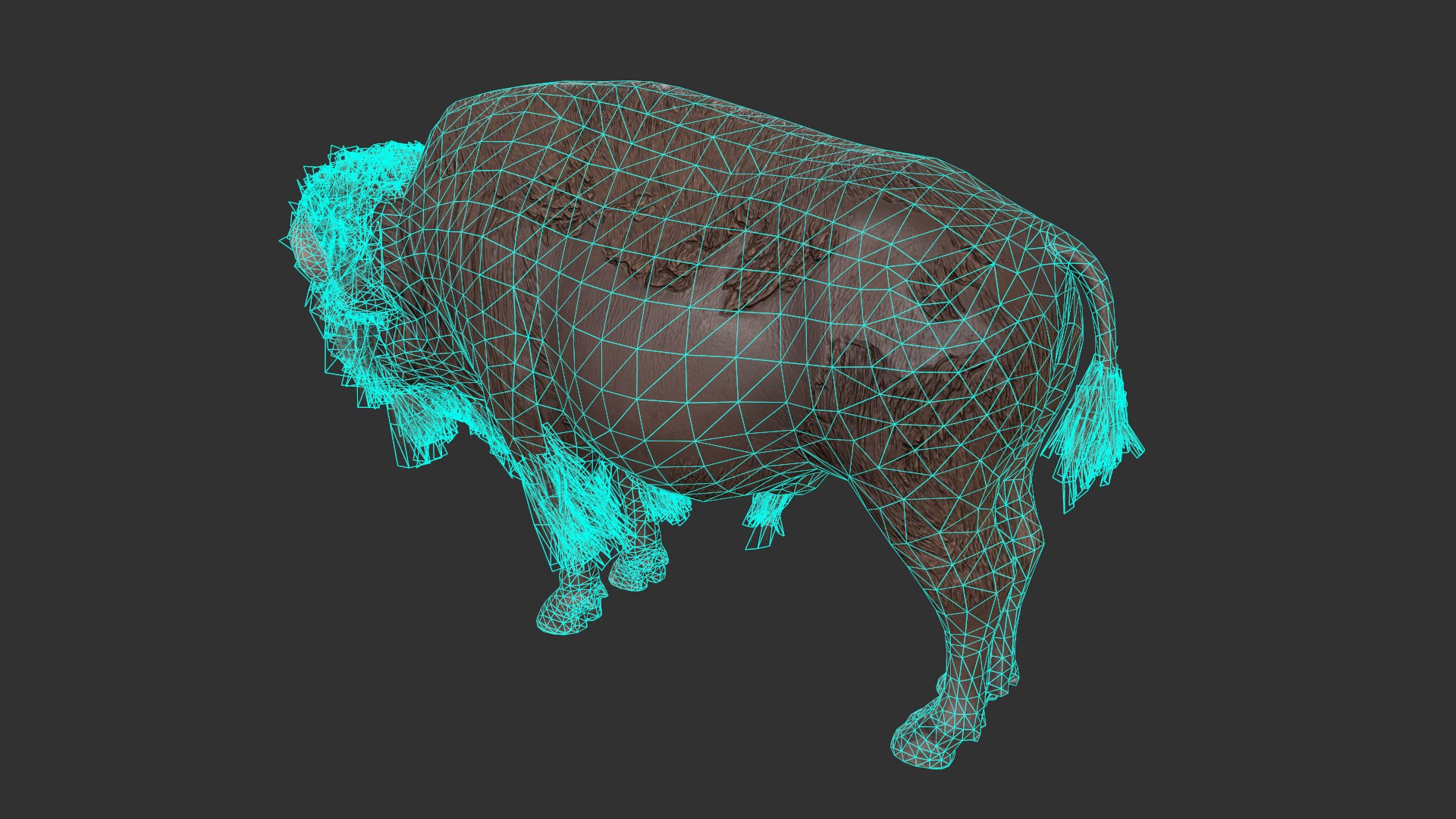 Bison 3D Model - TurboSquid 1966889