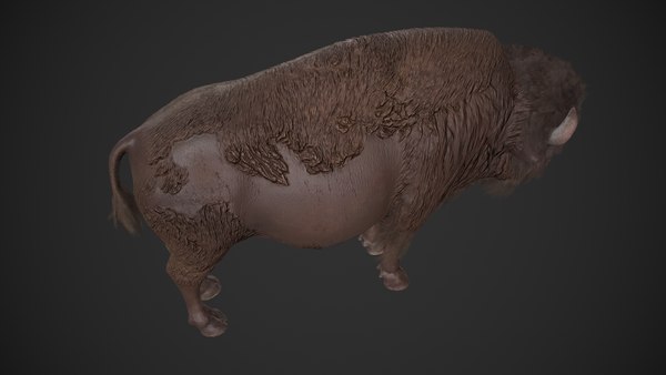 modelo 3d Bisonte - TurboSquid 1966889