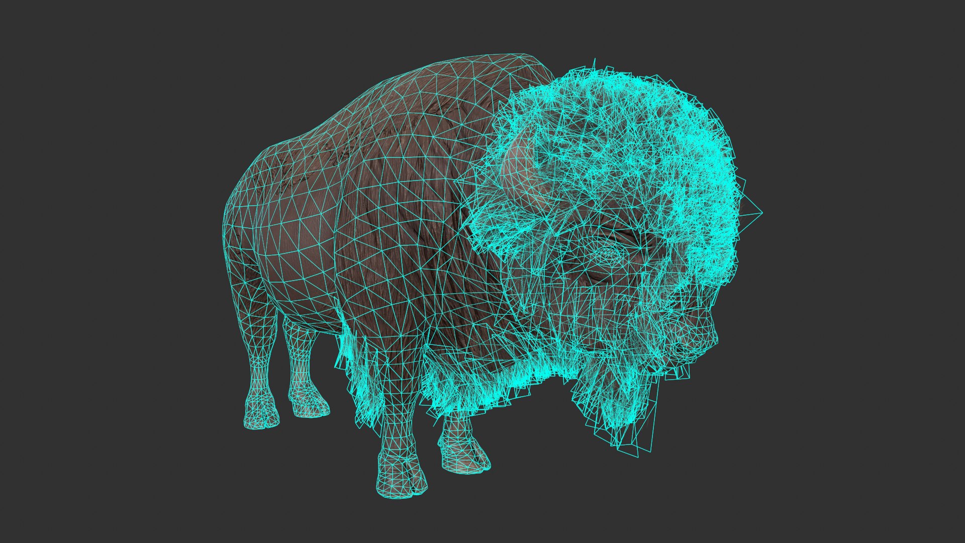 Bison 3D Model - TurboSquid 1966889