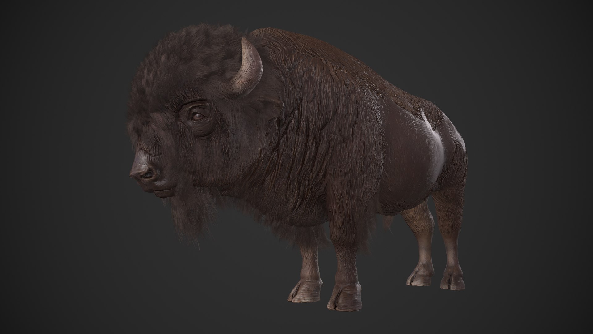 Bison 3D Model - TurboSquid 1966889