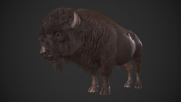 modelo 3d Bisonte - TurboSquid 1966889