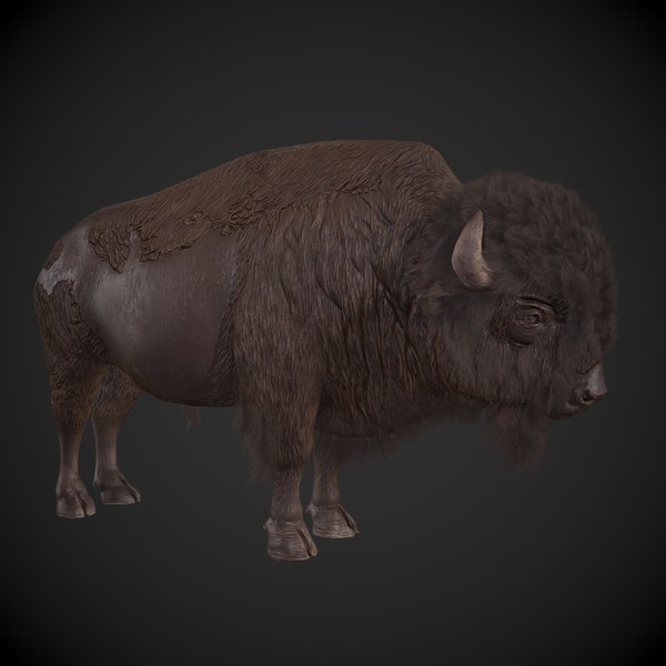 3D модель Бизон - TurboSquid 1966889