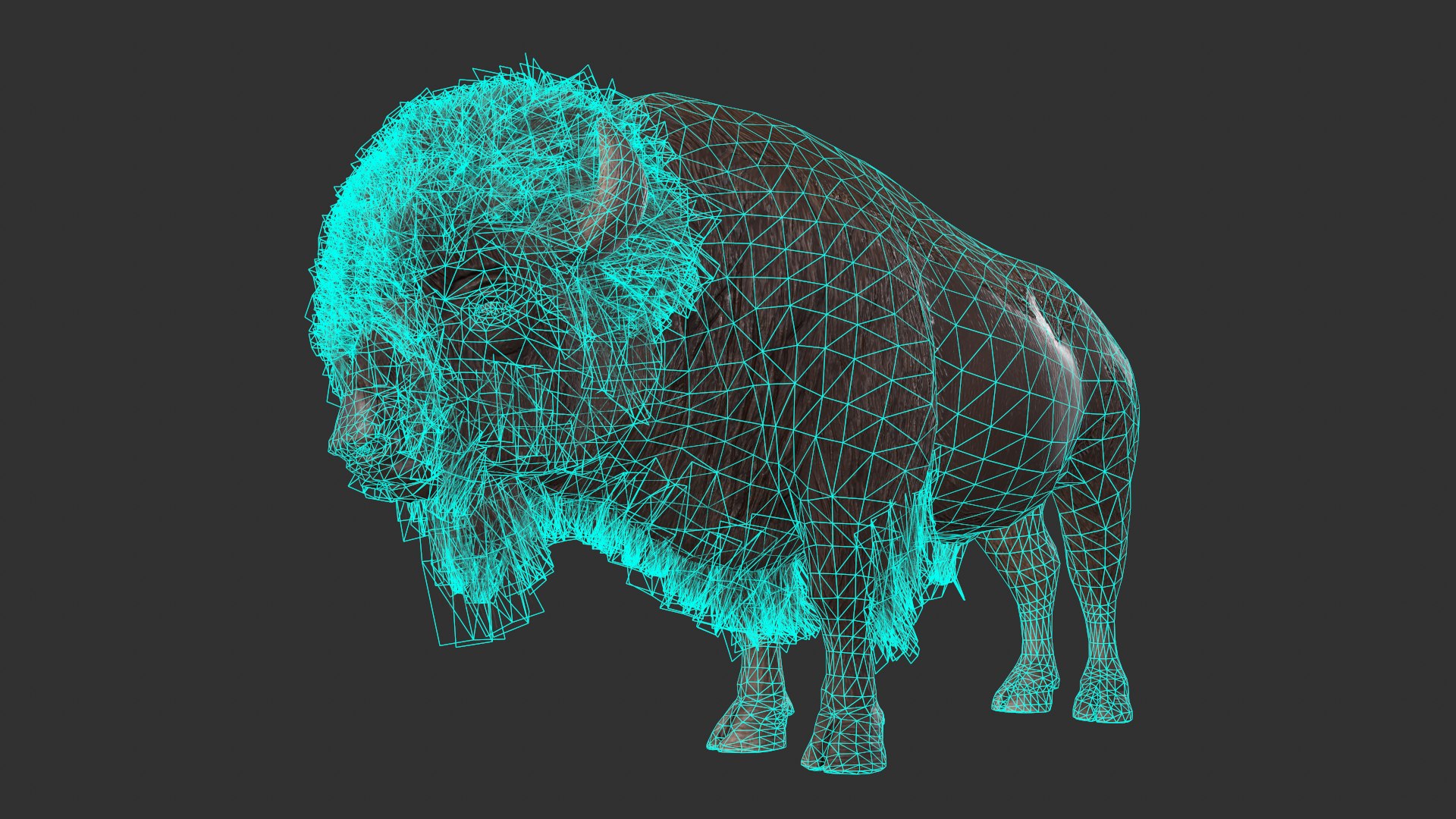 Bison 3D Model - TurboSquid 1966889