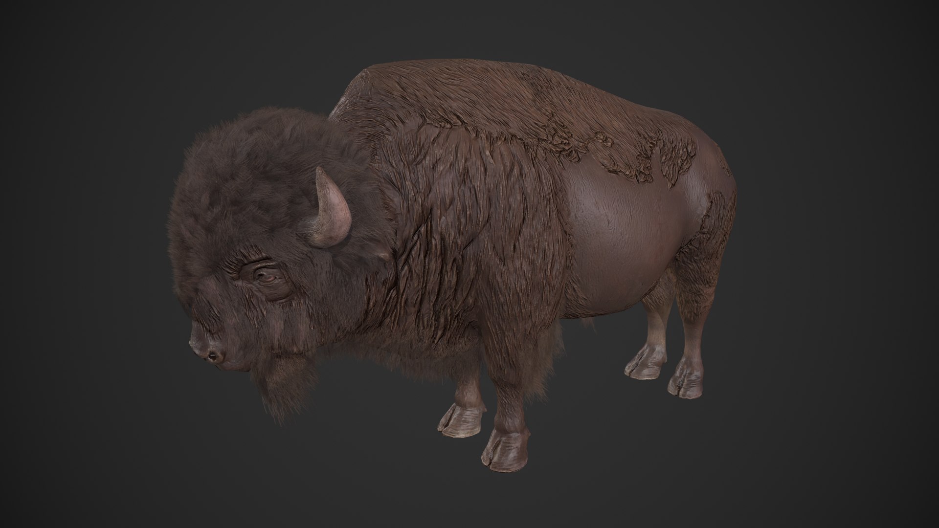 Bison 3D Model - TurboSquid 1966889
