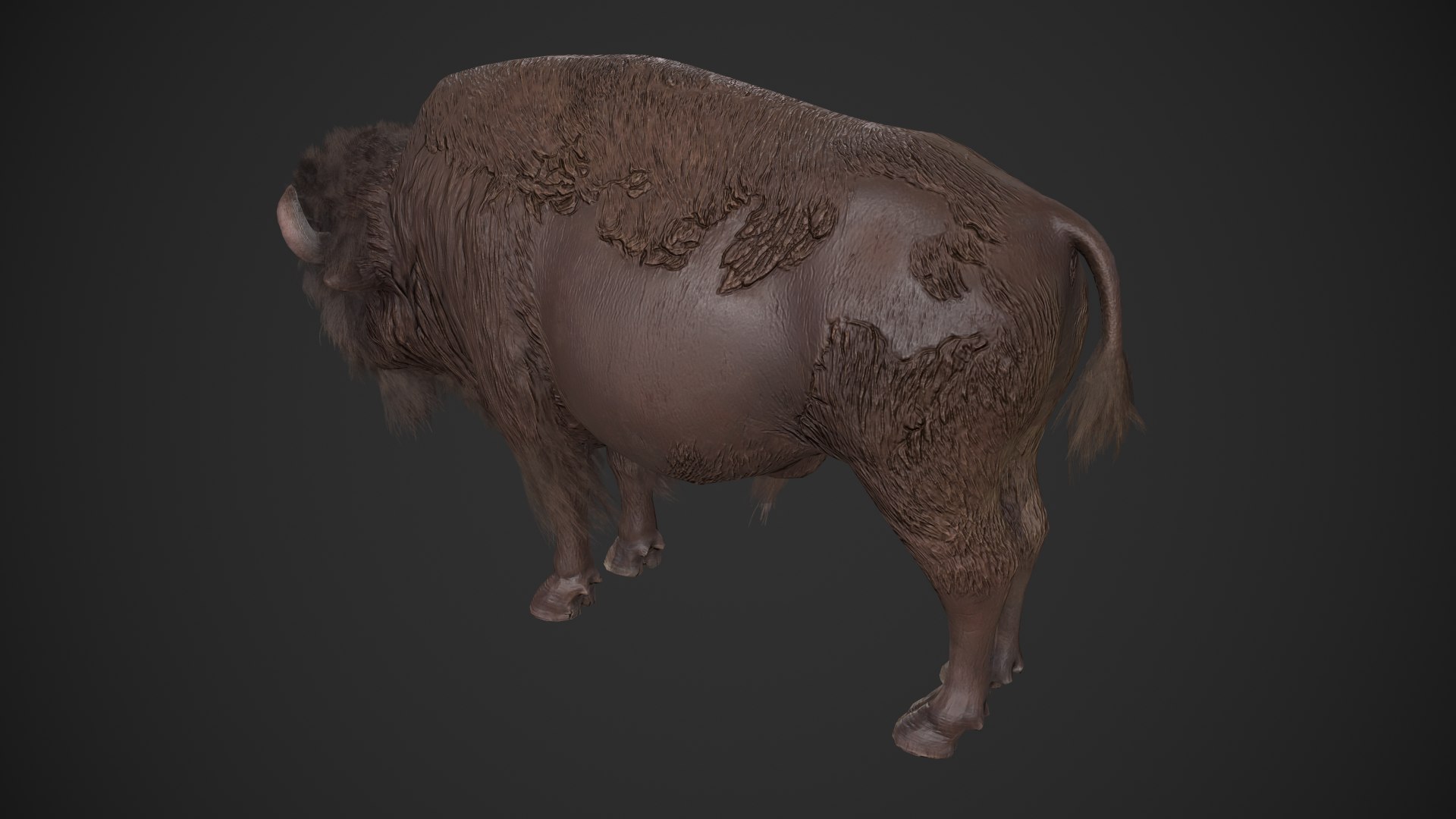 Bison 3D Model - TurboSquid 1966889